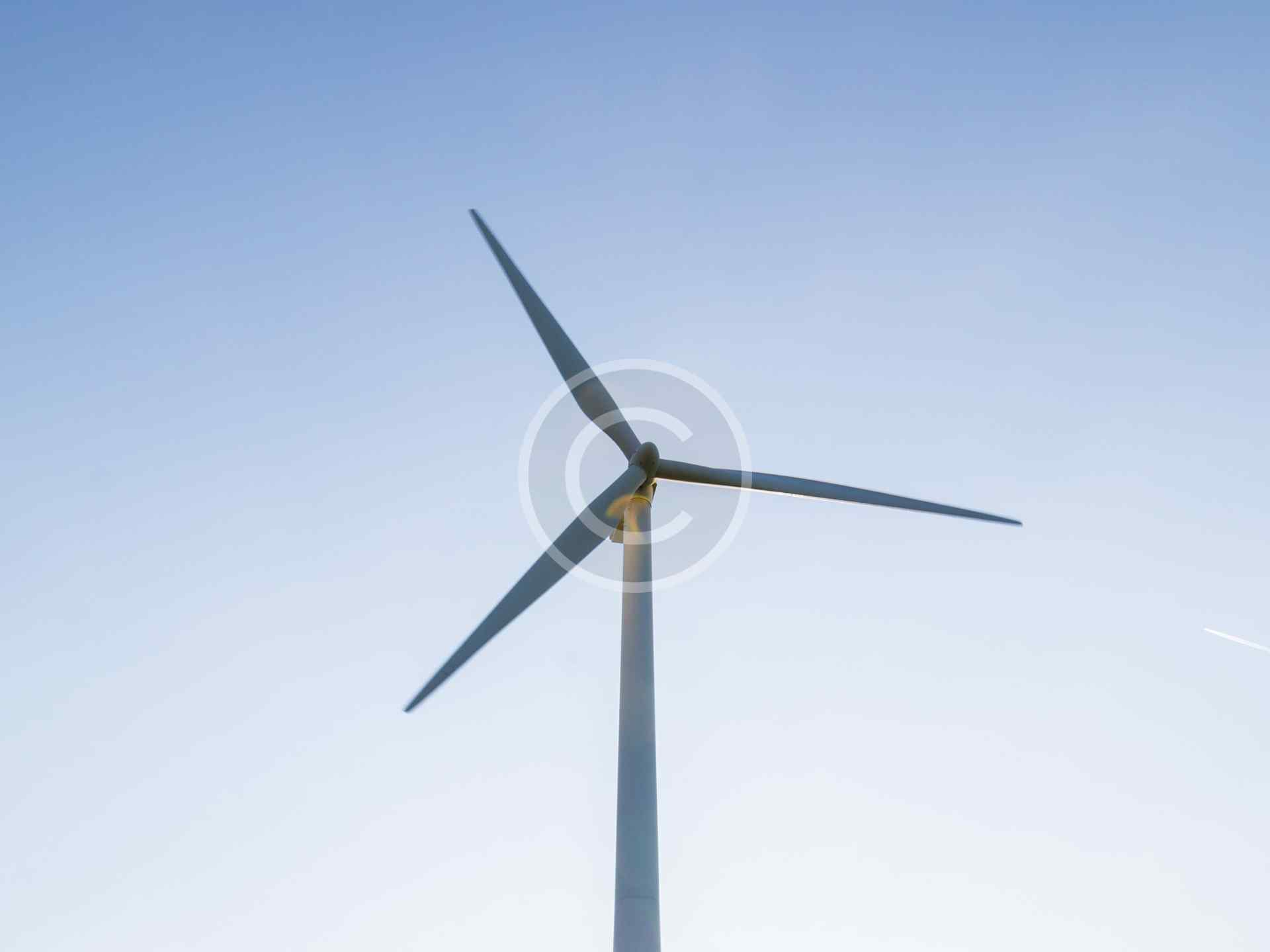 Hydropower - Deliz food Processing